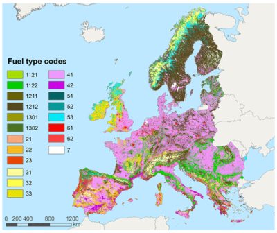 Why we classify fuels for wildfire prevention - FirEUrisk