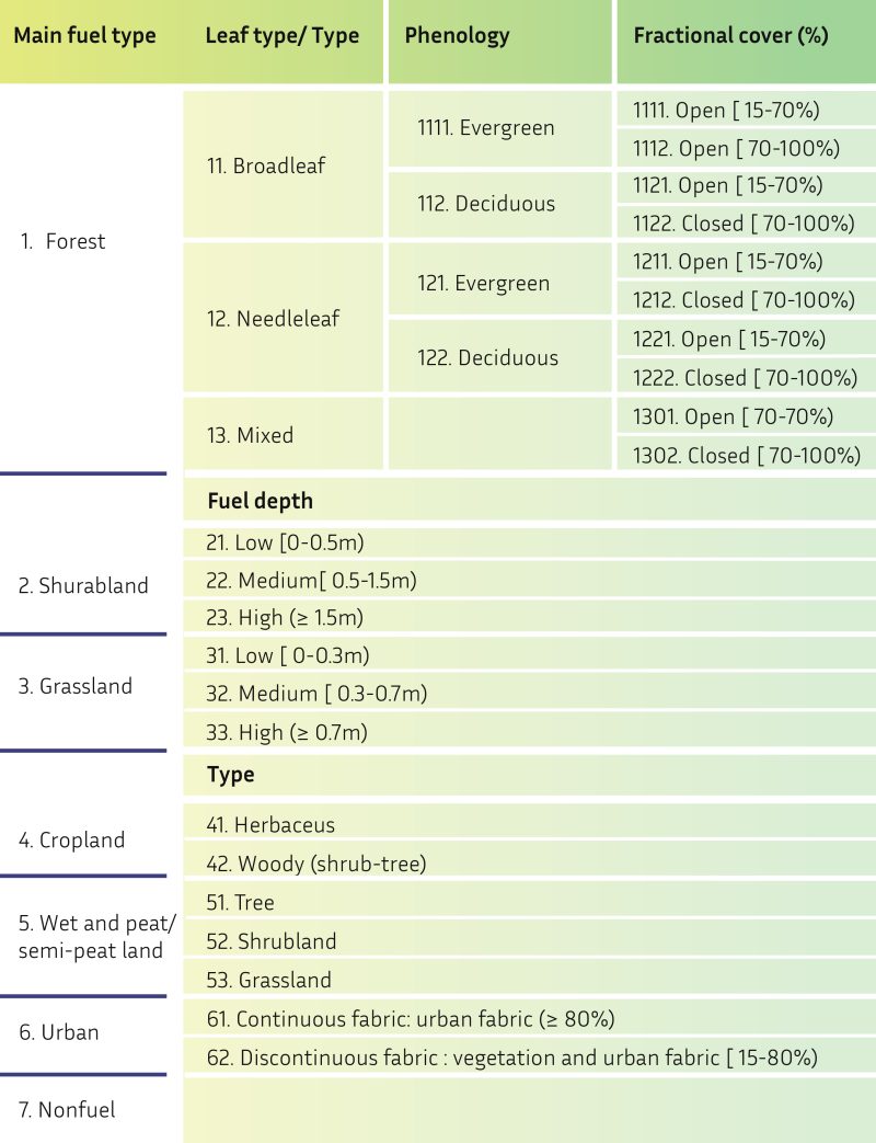 Why we classify fuels for wildfire prevention - FirEUrisk